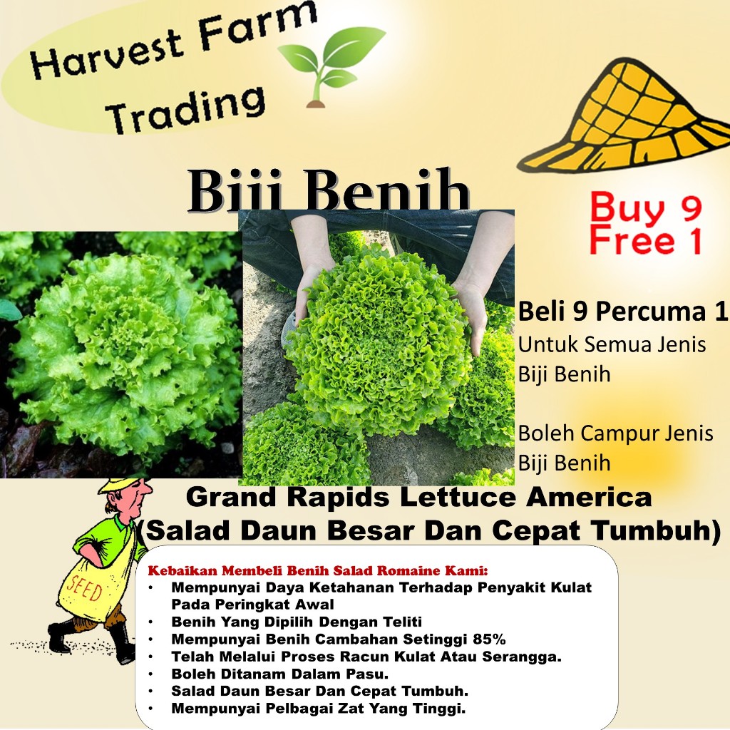 biji benih sayur sayuran pelbagai bunga vegetable seed bibit anak pokok ...