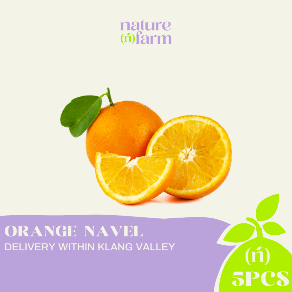Nature Farm Fresh Orange Navel, L Size / Oren Navel (5PCS/PKT) | Shopee ...