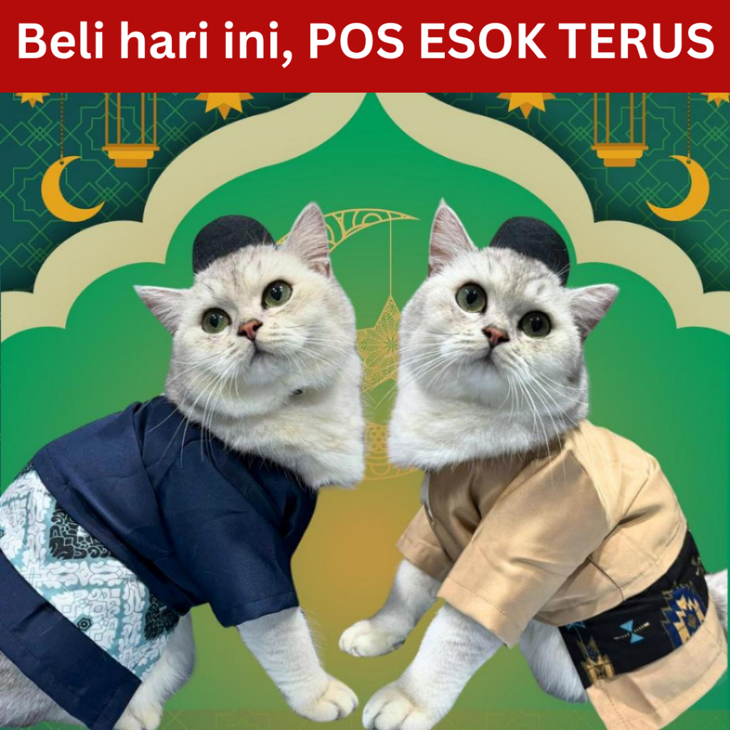 GUN PET Baju Raya Melayu Kucing Songkok Baju Kurung Baju Melayu Cat Toy ...