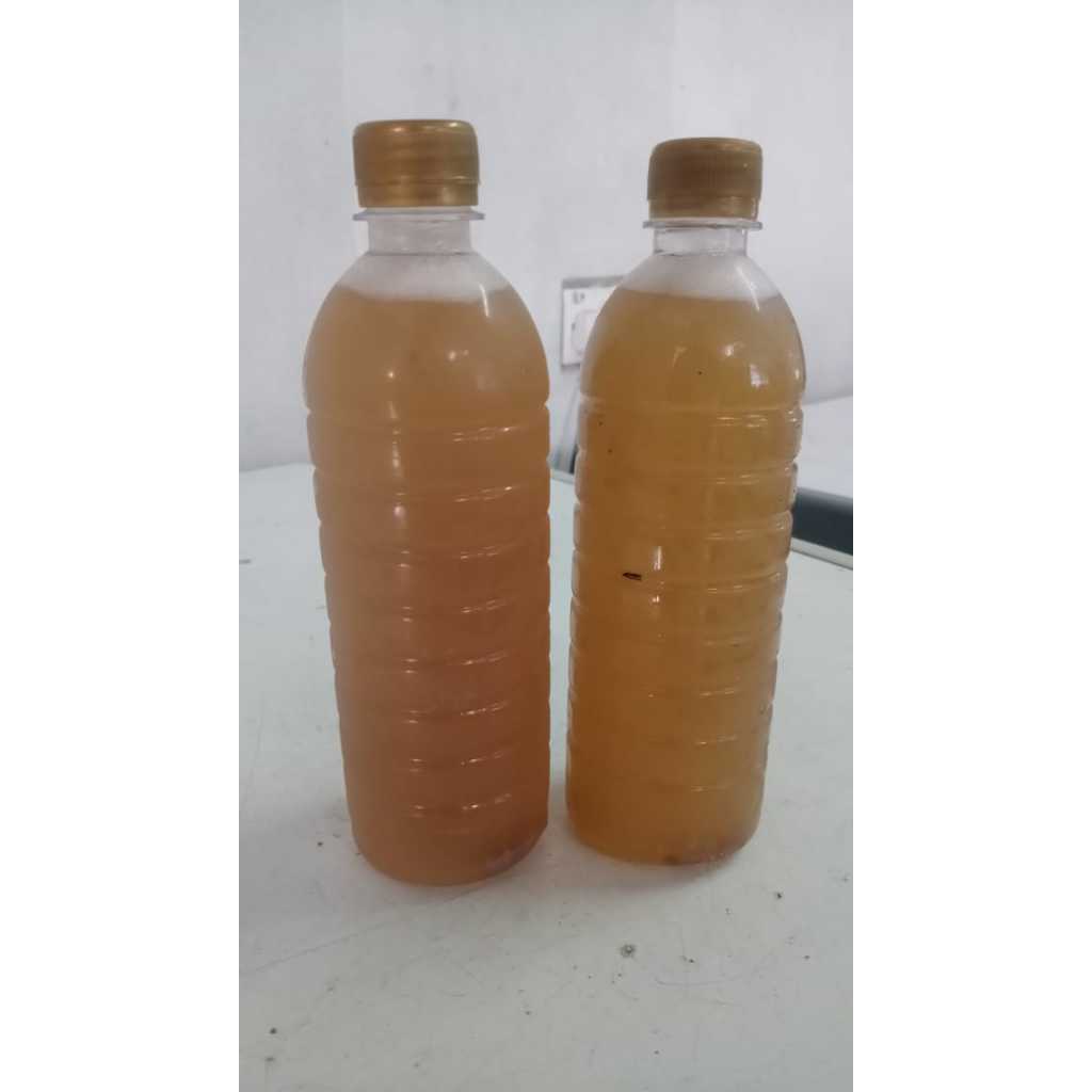 AIR TUAK/NIRA KELAPA ASLI 500ML | Shopee Malaysia