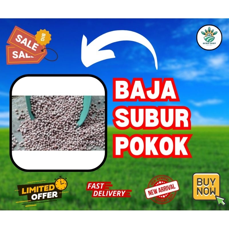 BAJA SUBUR POKOK Pokok SAYUR Pokok BUAH BUAHAN PEK EKONOMI 150g ...
