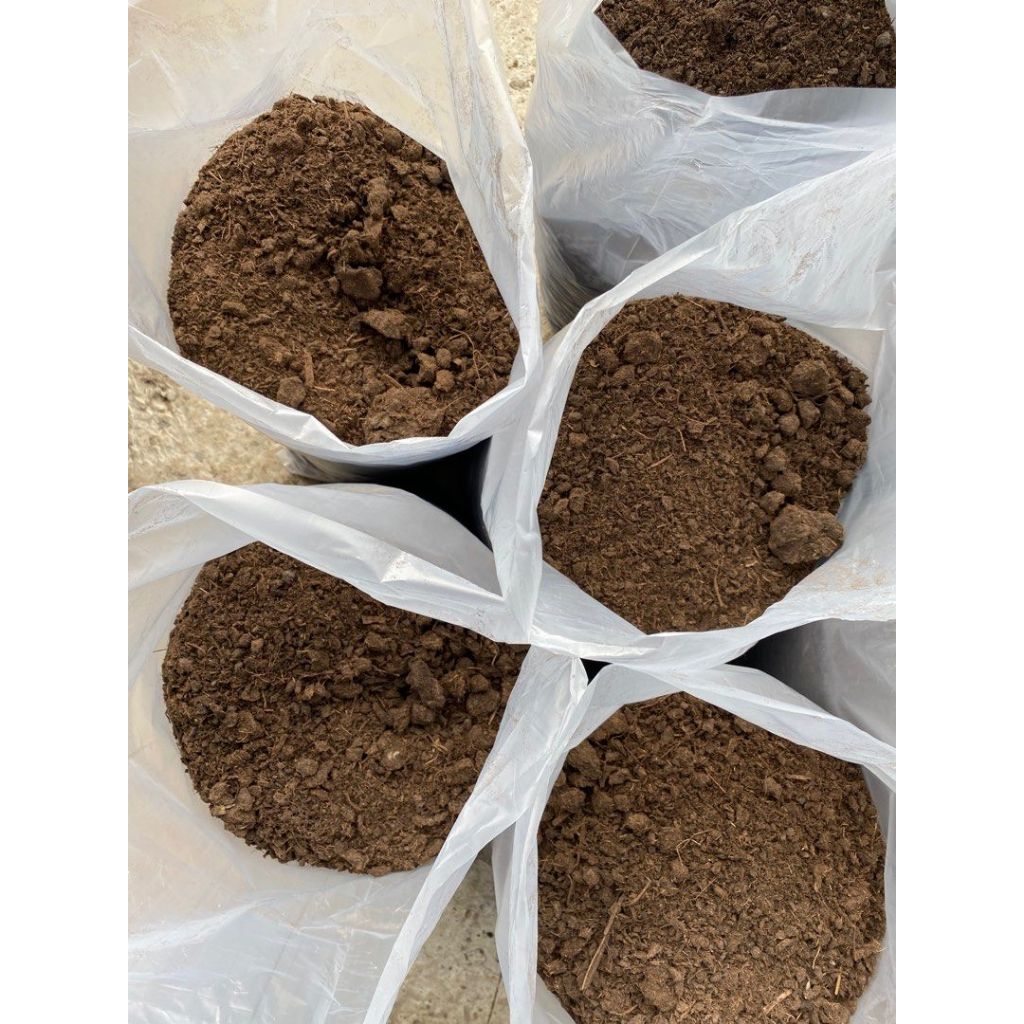 100% ORGANIC COW DUNG MANURE COMPOST / BAJA TAHI LEMBU ORGANIK KOMPOS ...