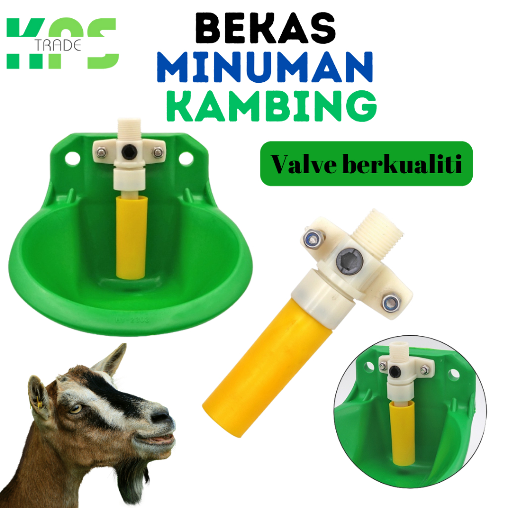 Bekas Minuman Kambing / Bekas Minuman Biri biri Automatik / Auto ...