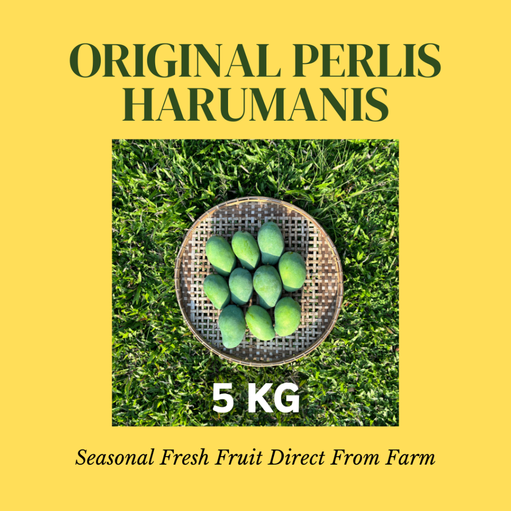 Harumanis Perlis Mango (Grade A & AAA) | Shopee Malaysia