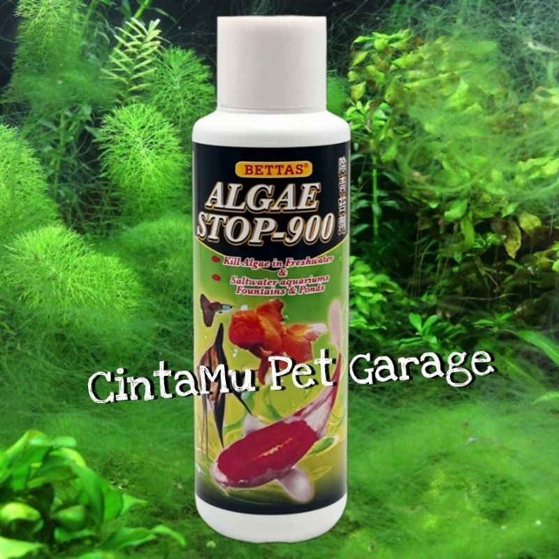 BETTAS Algae Stop 200ml Ubat buang lumut sesuai until akuarium dan ...