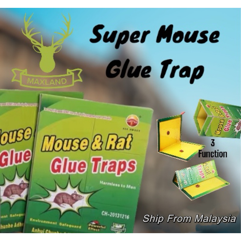 Mouse Catcher Trap Rat Rat Glue Board Mouse Trap Sticky Boards Indoor ...