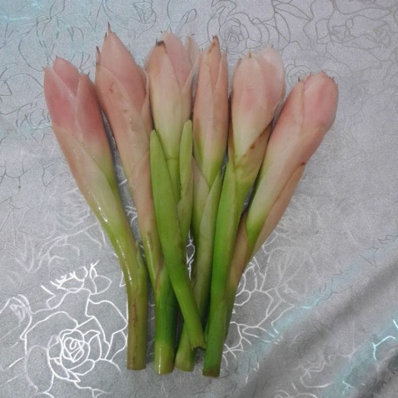 Bunga Kantan segar(Serendah 60 sen sekuntum) | Shopee Malaysia