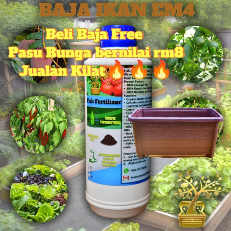BAJA IKAN UNTUK PERTANIAN 1 LITER #ORGANIK #EM4 /FISH AMINO ACIDS (FAA ...