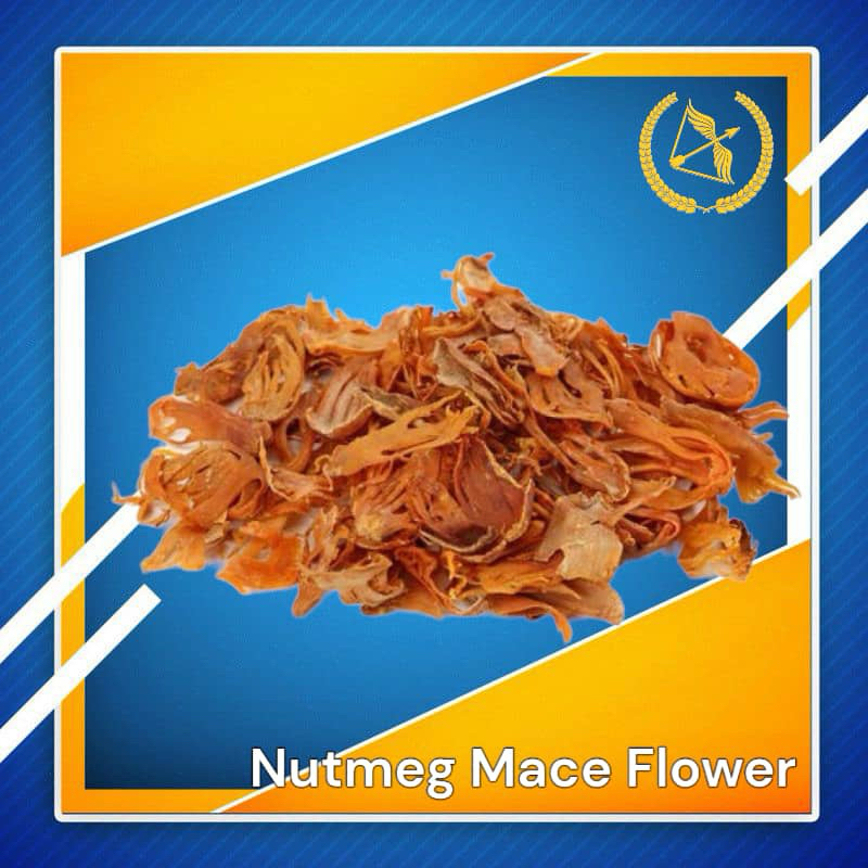 Nutmeg Mace Flower/Javitri 200grams/500g/1kg | Shopee Malaysia
