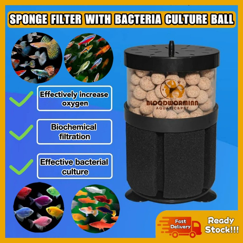 Aquarium Bio Sponge Filter with Media Space Breeding Tank水妖精（READY ...
