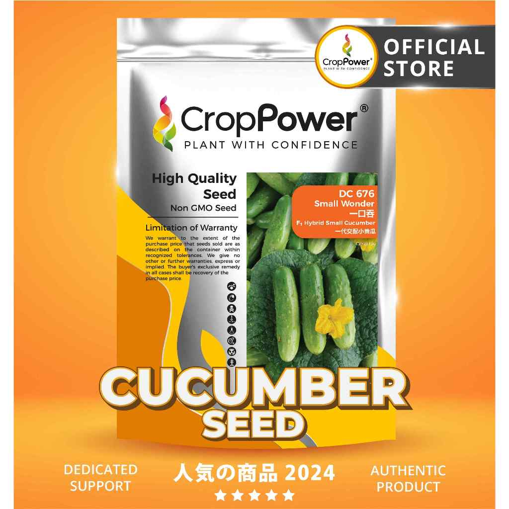 (100 GRAM) Biji Benih Timun Mini Small Wonder 一口吞 DC676 CROP POWER Mini ...