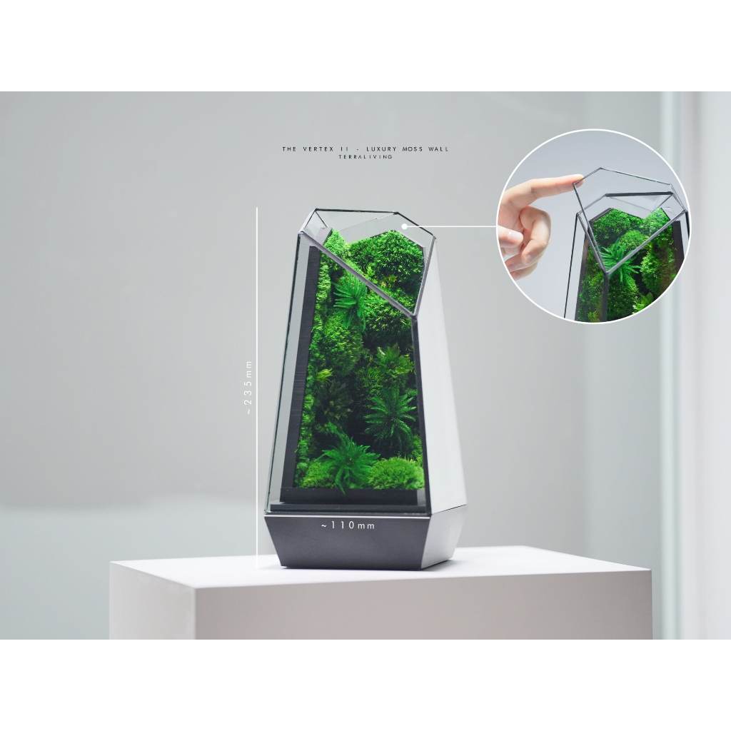 Export Grade: The Vertex II (S) - Luxury Moss Wall, Preserved Moss ...