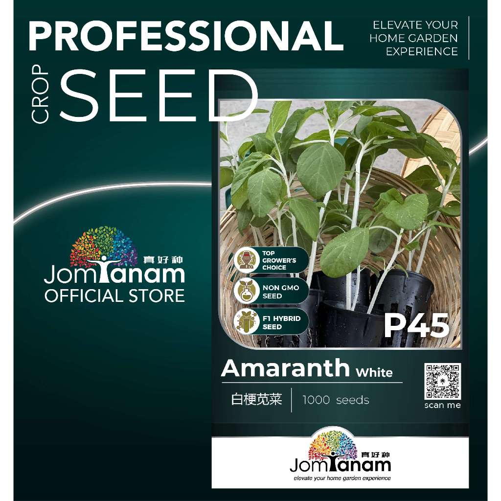 White Amaranth Seed P45 JOM TANAM Benih Bayam Putih 白梗苋菜种子 蔬菜种子 Benih ...