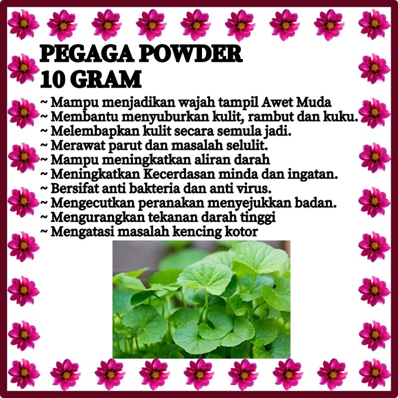 HSK [10g] PELBAGAI JENIS JAMU POWDER SERBUK MANJAKANI CEKUR MAS COTEK ...