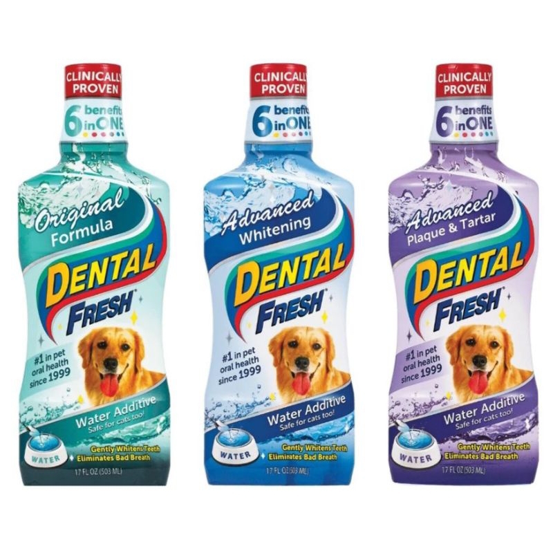 Dental Fresh Original Formula 503ML | Shopee Malaysia