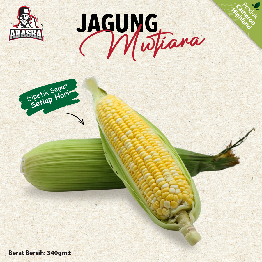 10 Biji Jagung Mutiara 🌽 【Cameron Highlands】10 pcs Pearl Corn ...