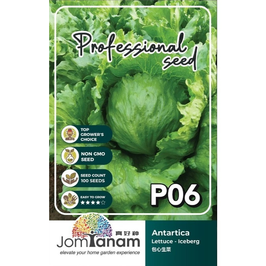 Lettuce-Iceberg Antartica P06 JT-P06 | Shopee Malaysia