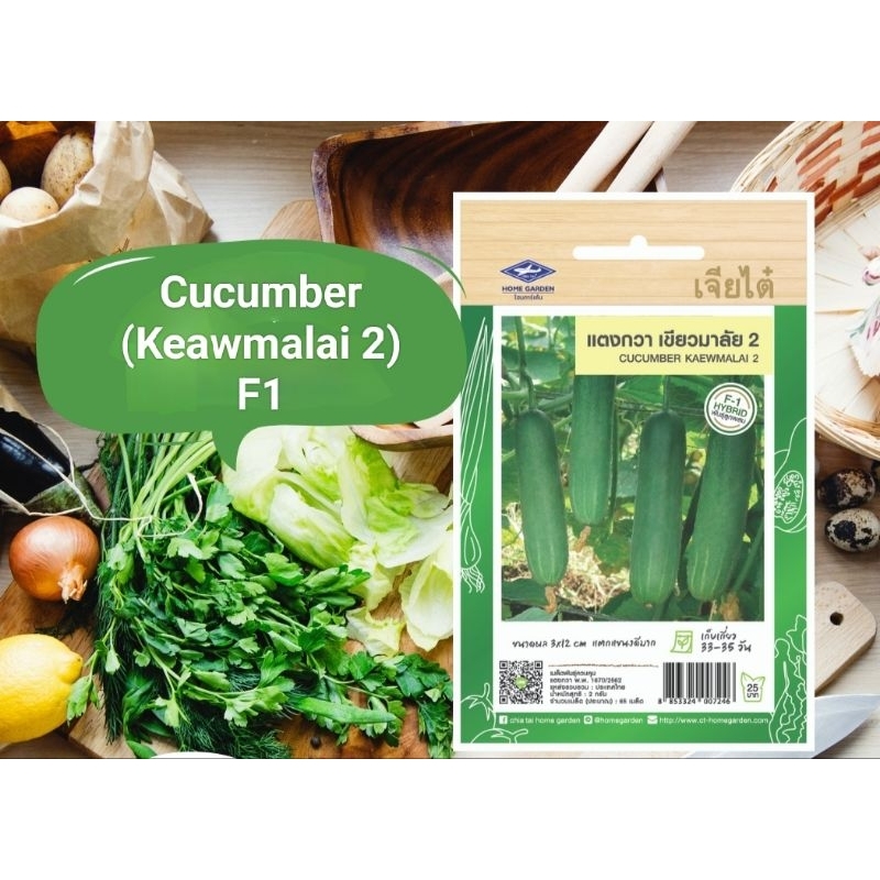 🌱Ready Stock 🌱Imported Cucumber Keawmalai 2 Seeds F1 / Benih Timun Cina ...