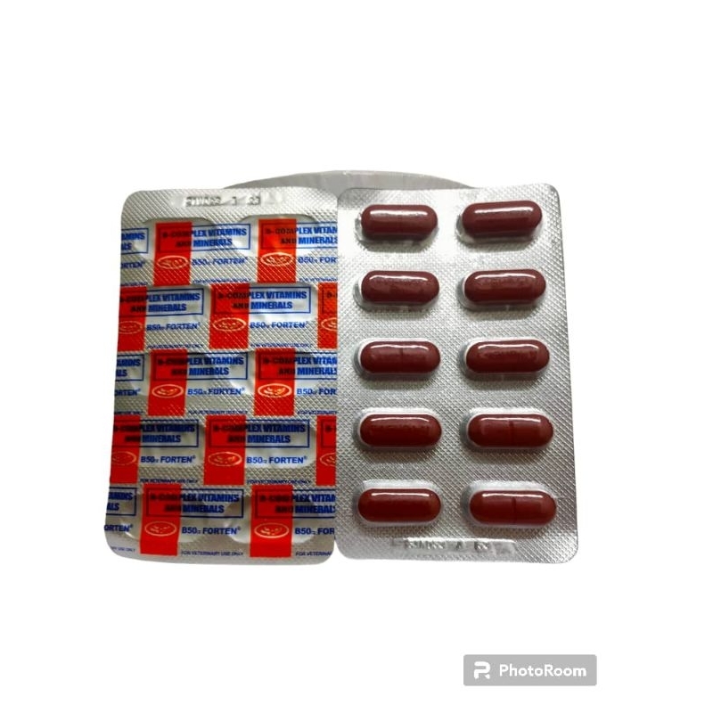 UBAT AYAM B50 MULTIVITAMIN DAN MINERAL | Shopee Malaysia