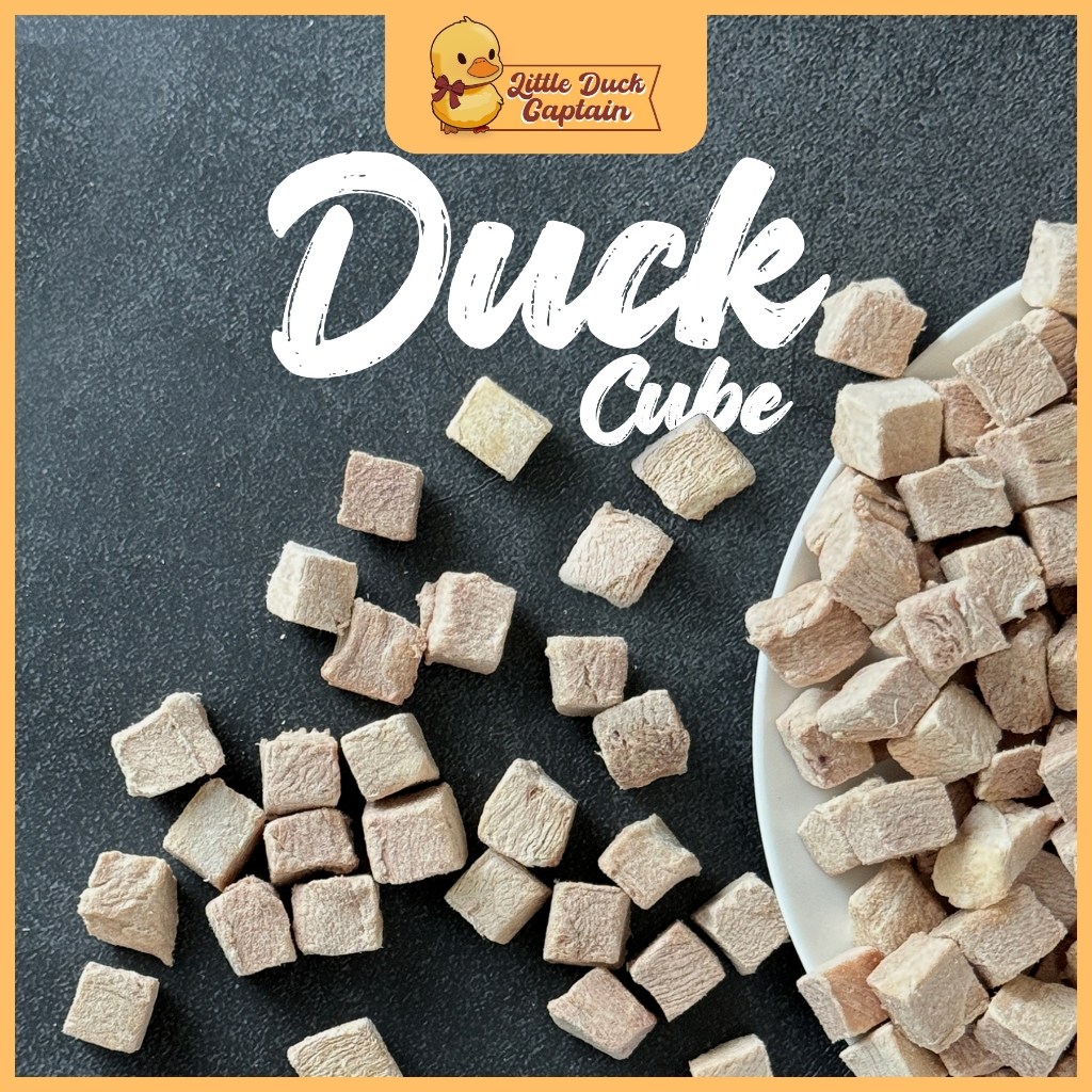 Freeze Dried Duck Cube (50g/100g) freeze dried pet food freeze dried ...