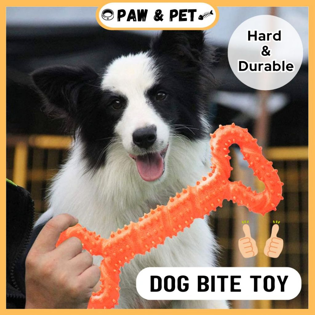 Dog Bite Toy Bone Shape Dog Chew Toy Good Quality Teeth Cleaning Toy ...