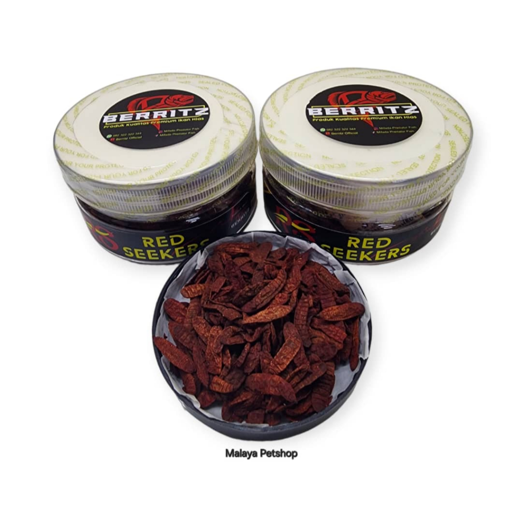 Maggot Red Seekers Premium by Berritz (Maggot for Channa Maru, Auranti, Pulchra, Andrao ...