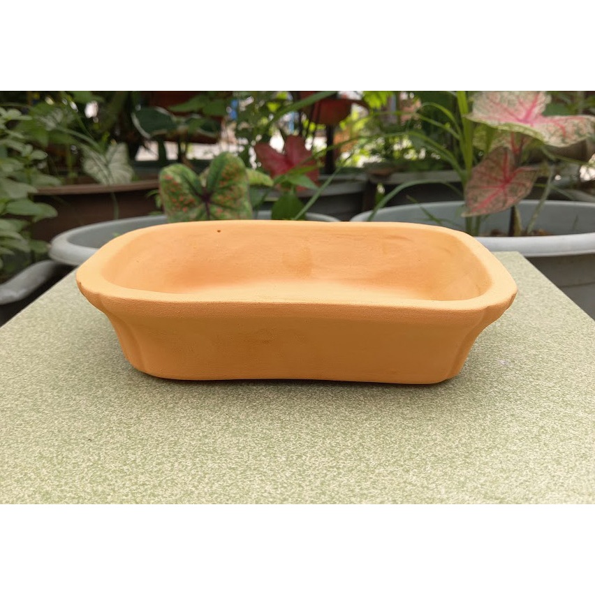 Pasu kaktus dan bongsai - teracotta | Shopee Malaysia