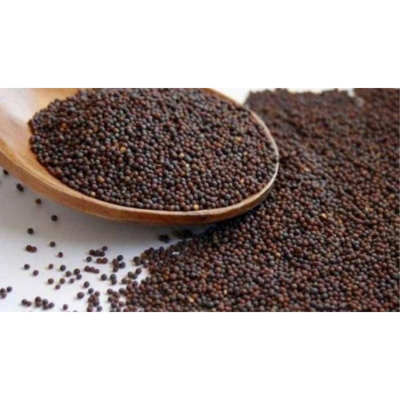 BIJI SAWI (MUSTARD SEEDS) 70G | Shopee Malaysia