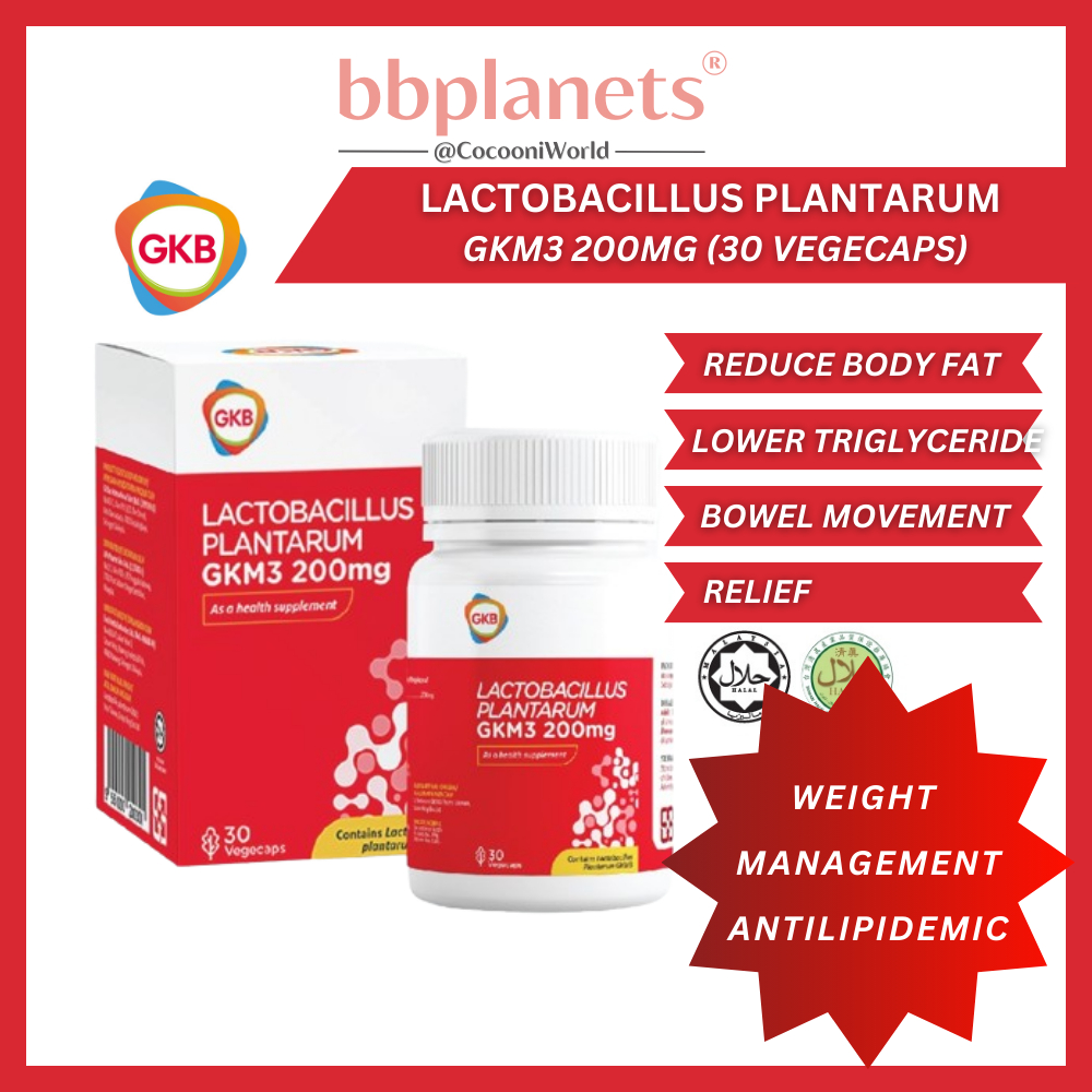 GKB Lactobacillus Plantarum GKM3 30s (Weight Loss & Probiotic for Body ...