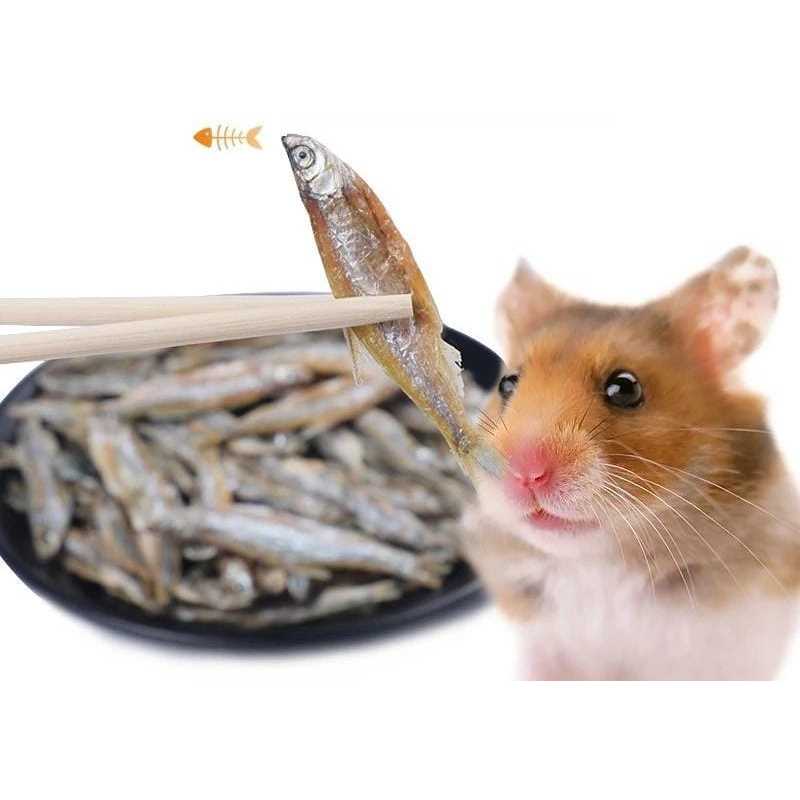 Hamster Dried Fish Freeze Dried FIsh Small Pet Food Hamster Snack ...