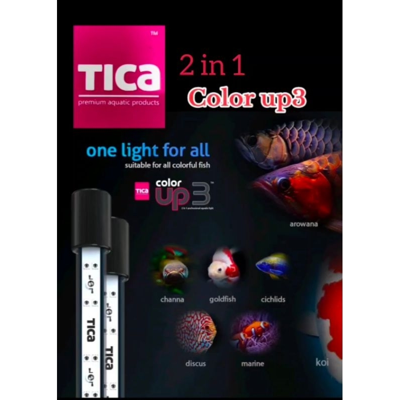 TICA Color up3 （2 in 1 ）boleh tanning & display | Shopee Malaysia