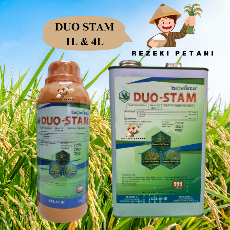 [ORIGINAL] 1L 4L Duo-Stam EC BIOVISTA /Racun Rumput di Petak Sawah Padi ...