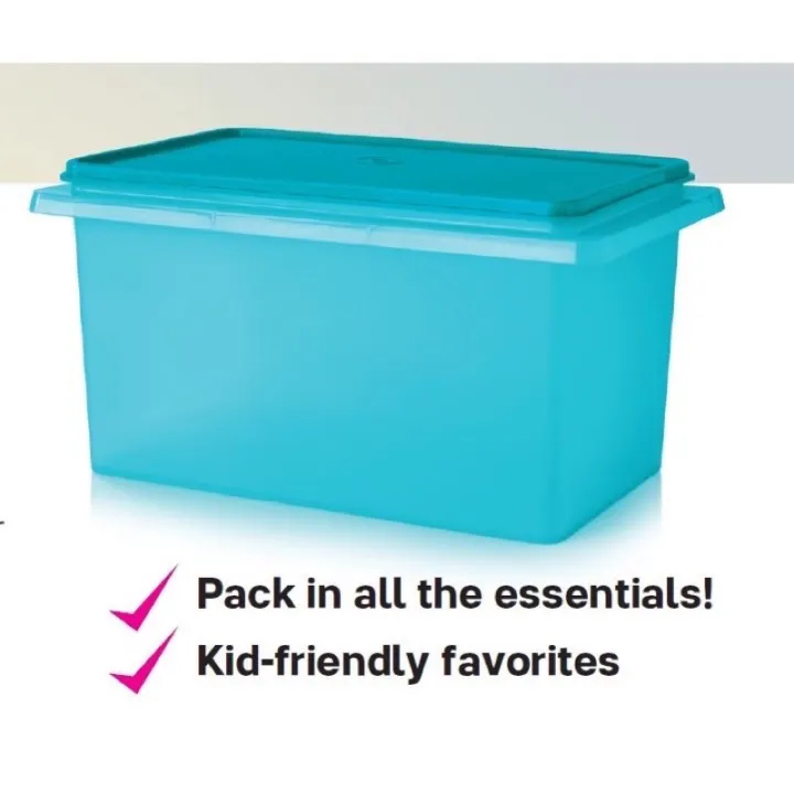Tupperware Buddy Box / Carry All Keeper 5L (1PC) | Shopee Malaysia
