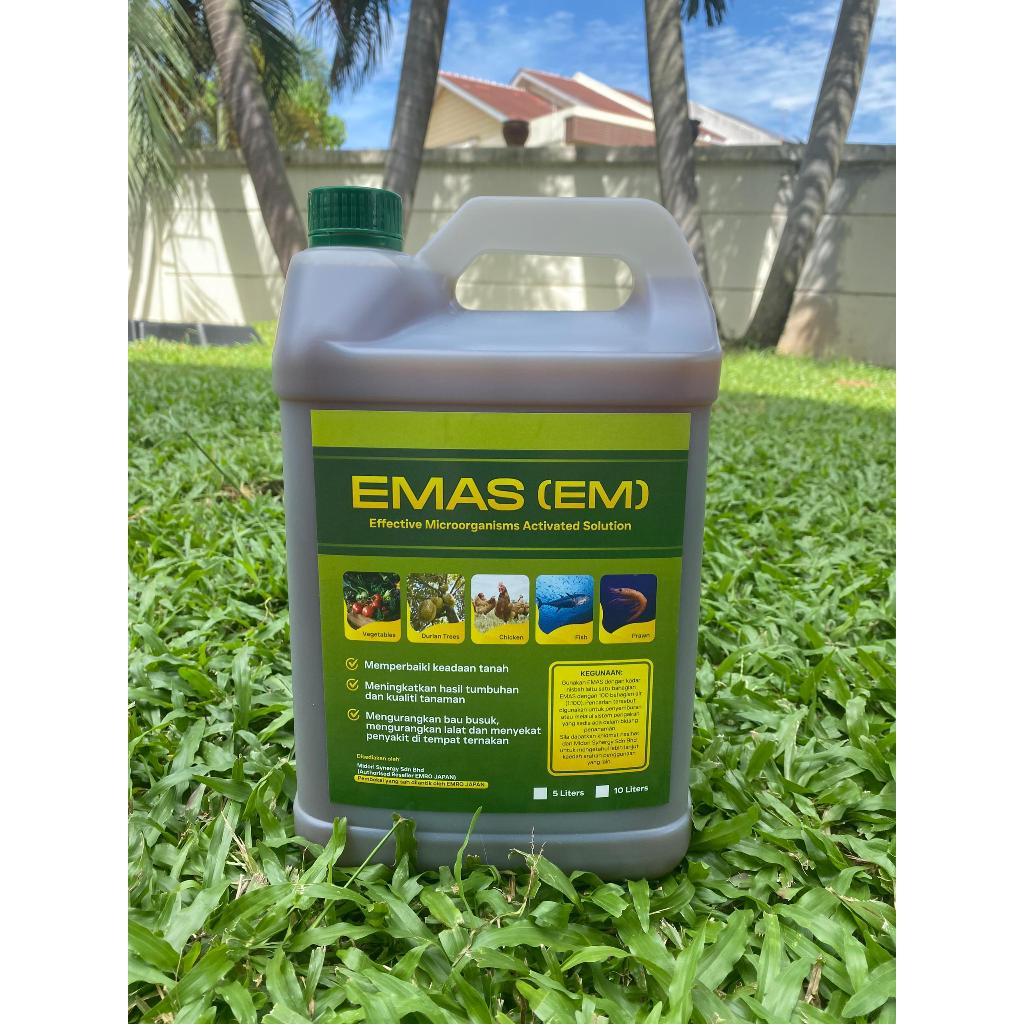 EM4 EMAS EM4 emas (5 Litre) | Shopee Malaysia