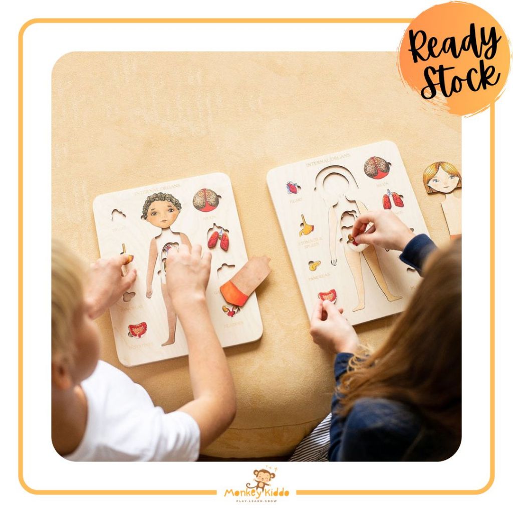 Human Body Puzzle Anatomy Montessori Children Early Education STEM ...