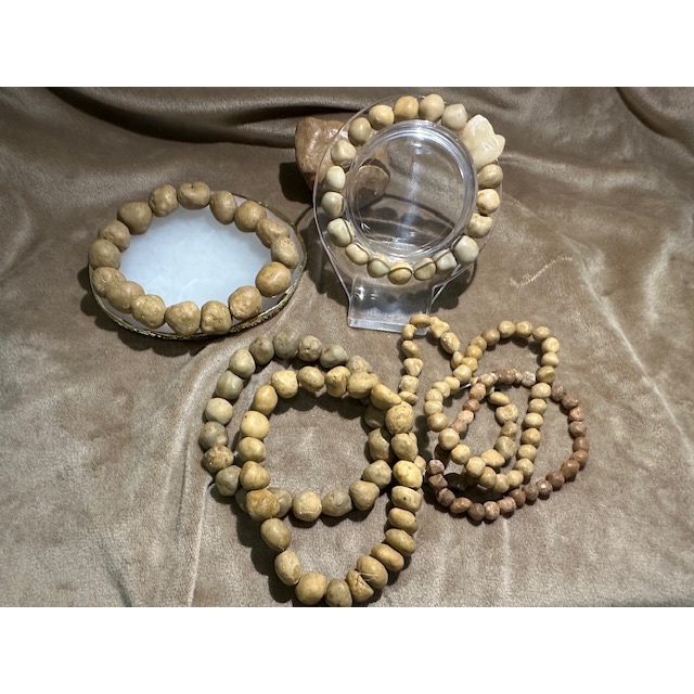 Dragon Palace / Sam Roi Yod Relic bracelet 龙宫黄灵骨手串 | Shopee Malaysia