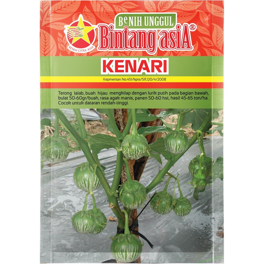 BINTANG ASIA - BENIH TERUNG ULAM KENARI PACK 10 GRAM | Shopee Malaysia