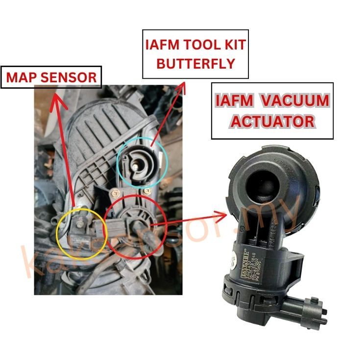 2PIN PROTON CAMPRO GEN 2 , PERSONA , SAGA BLM FL FLX IAFM VACUUM ...
