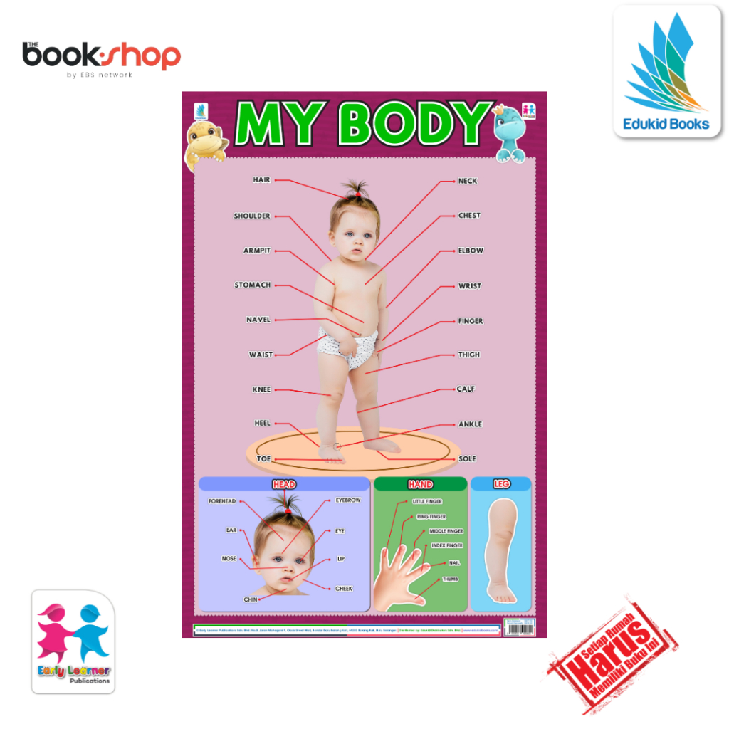 Poster-CHILDREN'S LEARNING POSTER-My Body-Education Poster-Learning Poster | Shopee Malaysia