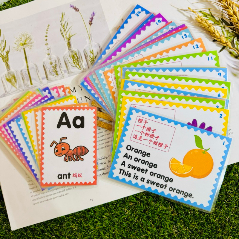 147 English Reading Card·英文阅读识字卡】English｜英文识字｜早教学习安静书 | Montessori ...