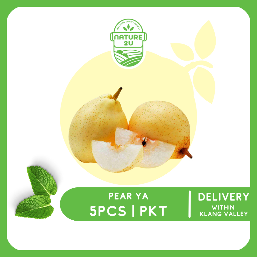 Nature2U Fresh Fruit - Ya Pear / Pir Ya / 鸭梨 (5PCS | PKT) | Shopee Malaysia