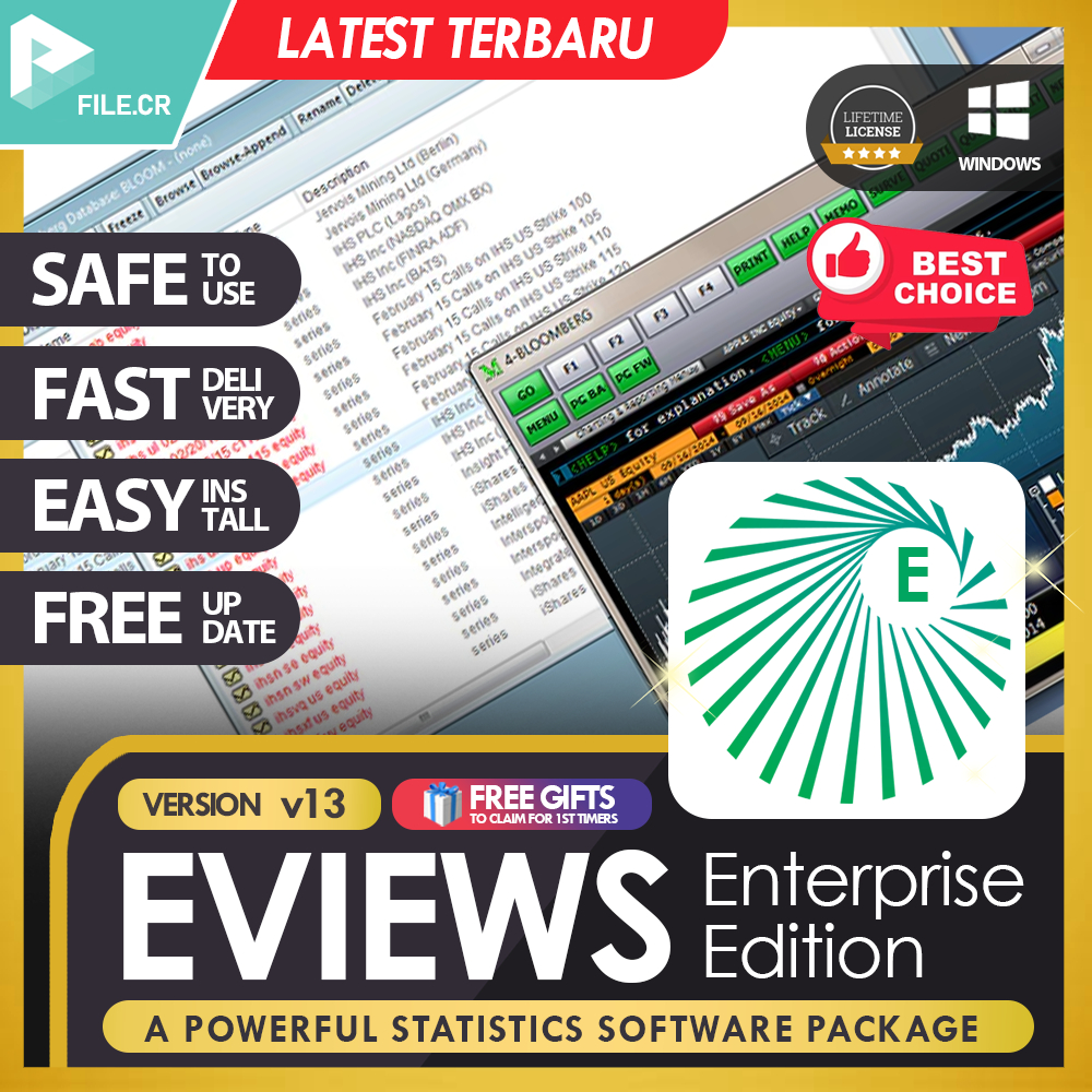 eViews Enterprise v13.0 2025 💯 EASY INSTALL 💯 LIFETIME PREMIUM 💯 FAST ...