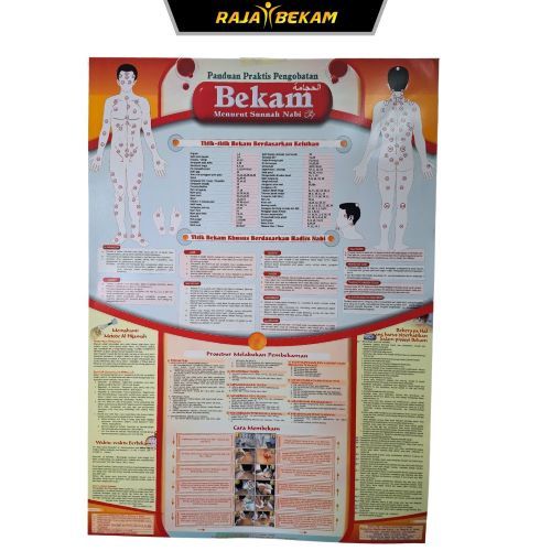 Poster Panduan Bekam / Poster 9in1 / Titik Bekam A3 dan B2 / Poster ...