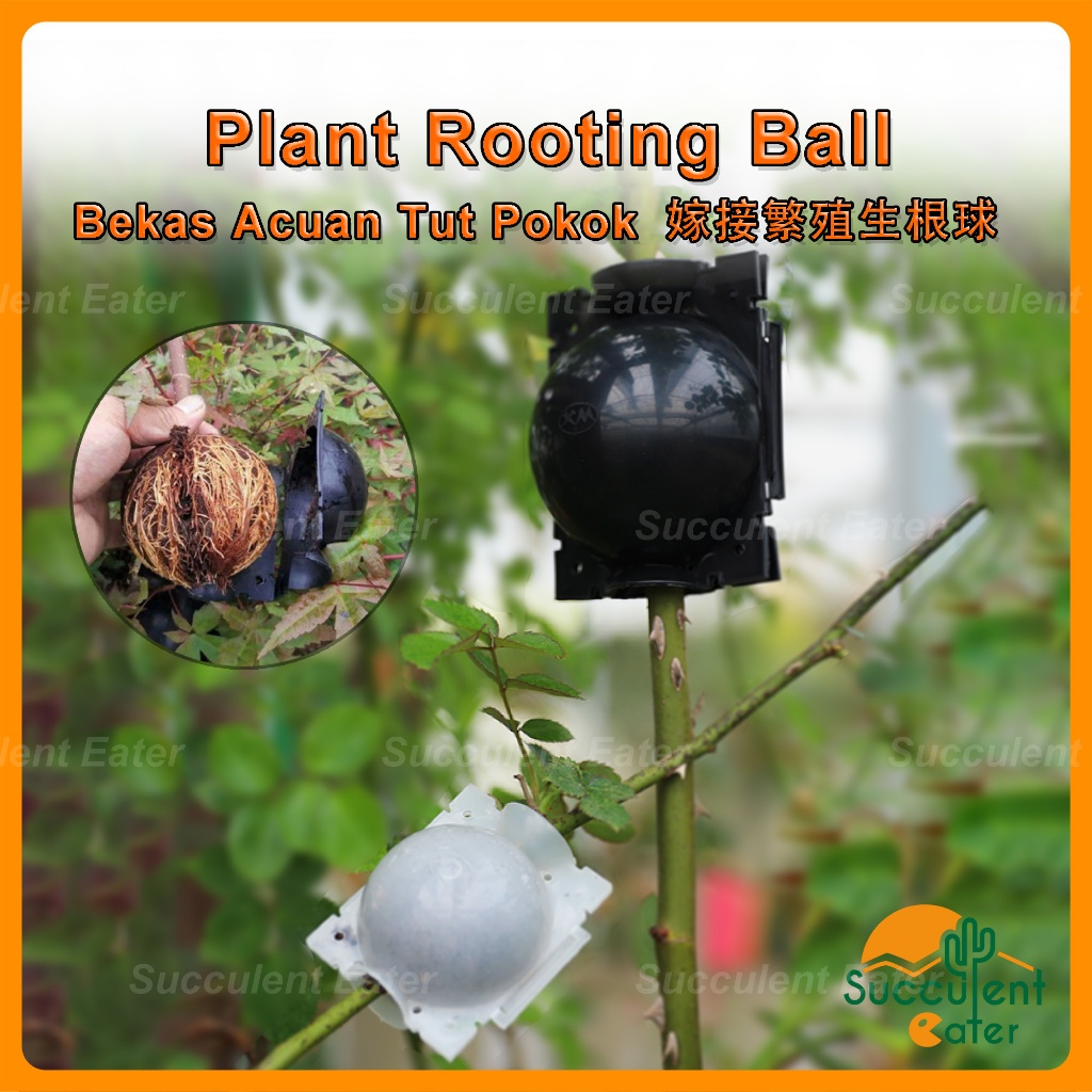 Plant Rooting Ball Air Layering High Pressure Propagating Device ...