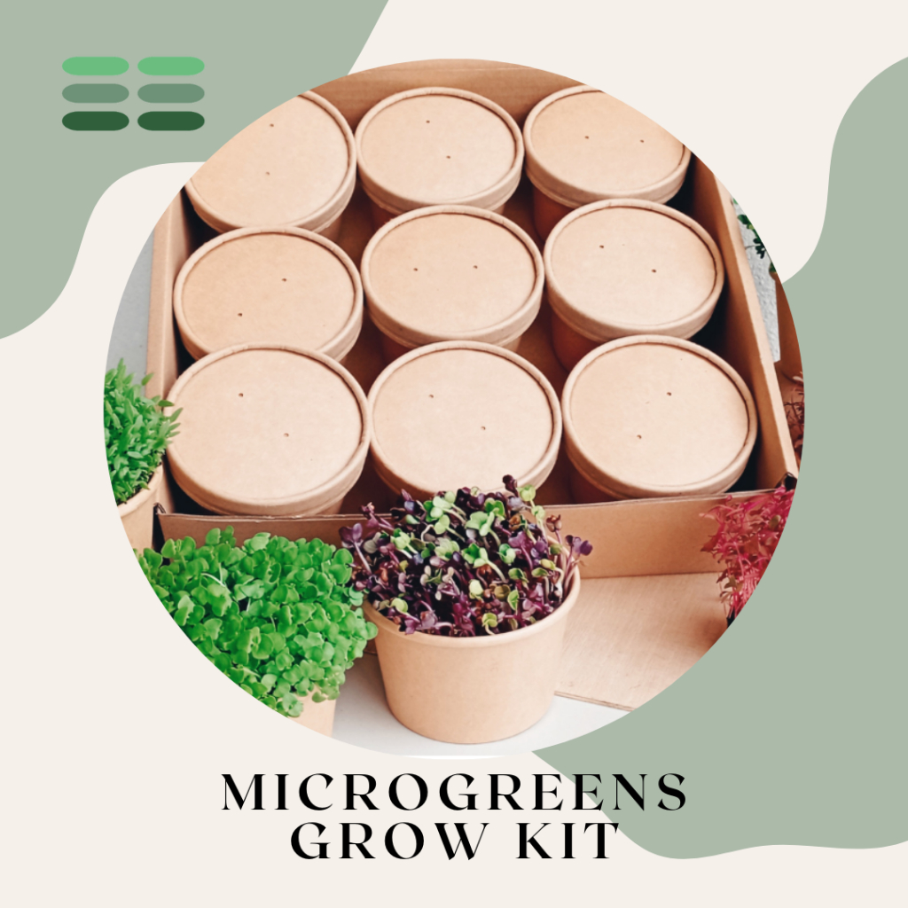 9 Tubs | Microgreens Grow Kit | Grow Your Own | Shopee Malaysia