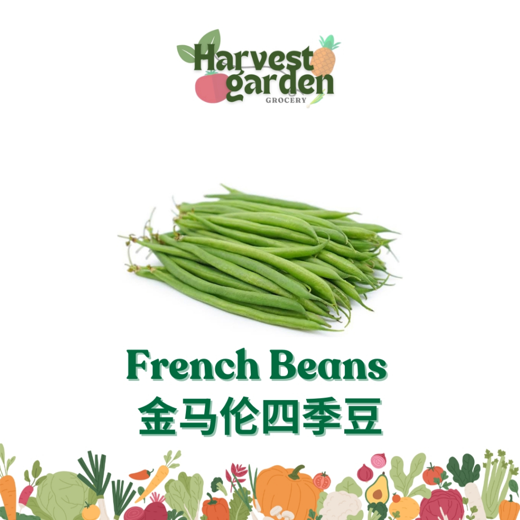 Cameron French Beans // Kacang Buncis // 金马伦四季豆 1PKT (300G+/-) Daily ...