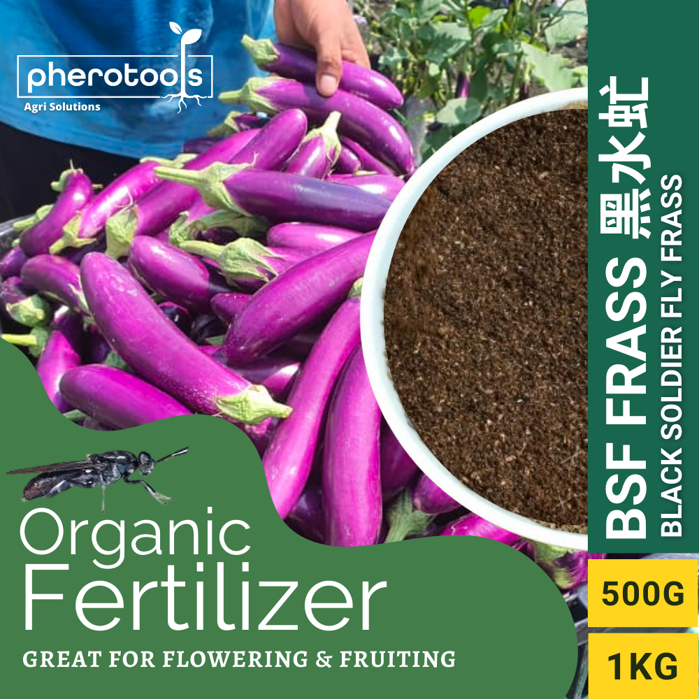 BAJA ORGANIK 1KG BSF Frass Organic Fertilizer 黑水虻 Black Soldier Fly ...