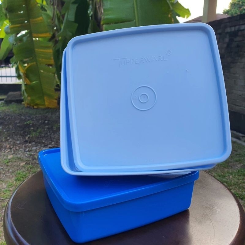 Tupperware Large Square Away (1) 620 ml | Shopee Malaysia
