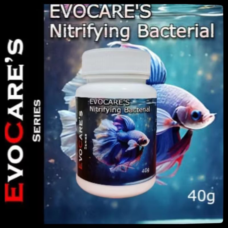 Evocare Nitrifying Bacteria Powder Aquarium Superbac Starter 40g 硝化菌 ...