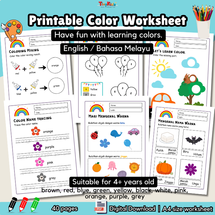 W013 PDF Digital Printable Color Worksheet for preschoolers ...